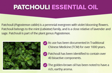 Patchouli Essential Oil: Benefits, Uses, & Best Company to Buy From