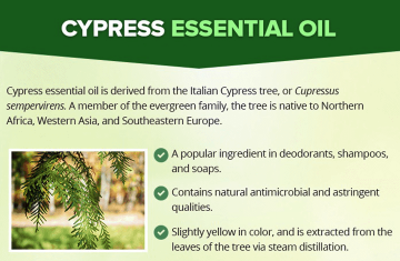 15 Remarkable Cypress Essential Oil Benefits & Uses to Jumpstart Your ...