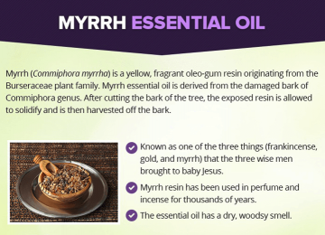 Myrrh Oil Benefits: 10 Reasons Why You Need to Start Using This ...